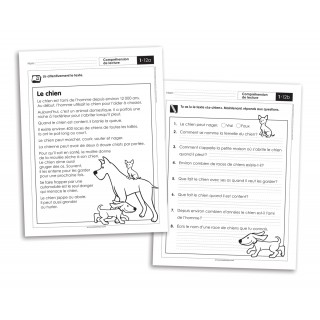 Français 1 - Compréhension de lecture : Les animaux domestiques ...